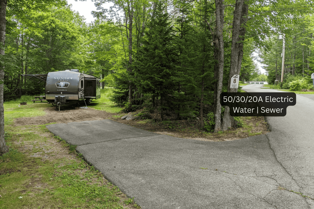 Site 8 - Island Camping on Maine Coast