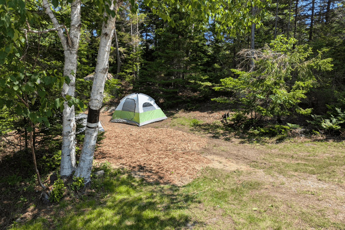 Site A - Island Camping on Maine Coast